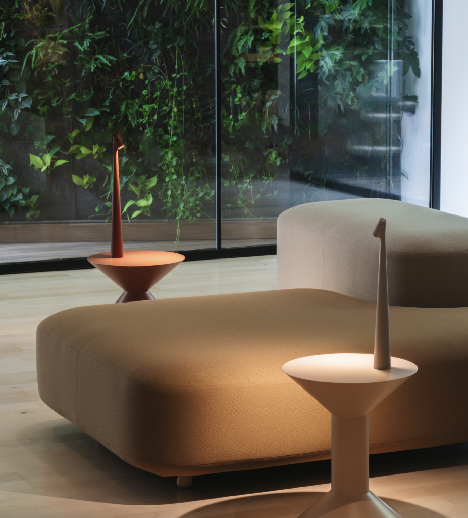 Africa - Eikelenboom