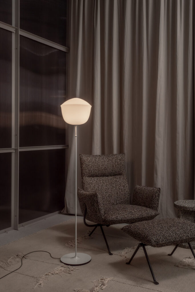 Contour - Eikelenboom